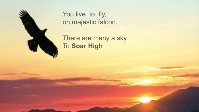 Soar High Systems